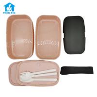 China Banana Leaf  BPA Free Leak-proof Plastic Dinosaur Cartoon Lunch Box for Kids for sale