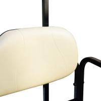 China Golf Cart 2N1 Rear Flip Back Seat Kit For Club Car Precedent - Beige for sale