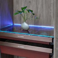 China Smart Glass Shelf Display Cabinet LED Light DC12V with Motion Sensor - 30cm to 120cm Lengths, IP44 Rated for sale
