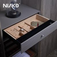 China Pull-Out Safe Box Organizer with Fingerprint Lock - 760×445×192mm Steel Drawer for Wardrobe Security for sale