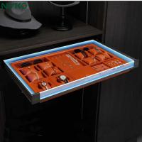 China Pull Out Closet Jewelry Box Soft Close Wardrobe Accessories Tray Storage Solutions for sale