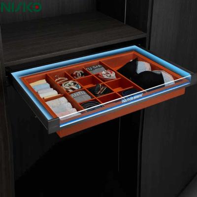 China Pull Out Underwear Wardrobe Storage Drawer 600mm 900mm With LED Light - 75mm Height Multiple Cabinet Sizes for sale