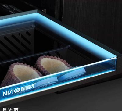 China Under Cabinet Pull-Out Shoe Organizer with 2 Shelves and LED Light - 495-795mm Width Options for sale