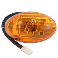 China Customize Logo Foton Aumark Truck Ollin Car Door Light with Performance and 12V Right for sale