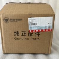China Foton Aumark Truck Series Cooling Module 5318533 with Outer Package Size 25cm*12cm*25cm for sale