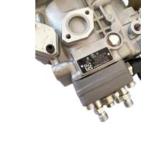 China The Foton Omako O Ling MRT Cummins 493 engine injection pump for country markets for sale