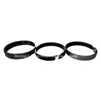 China Alpha WD615 WD618 WP7 WP9 WP10 WP12 WP13 Diesel Engine Piston Ring Original for Foton Car Fitment for sale
