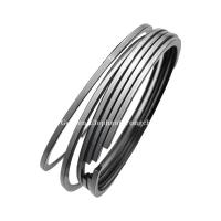 China Alpha WD615 WD618 WP7 WP9 WP10 WP12 WP13 Diesel Engine Piston Ring Original for Foton Car Fitment for sale