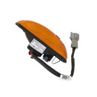 China Alpha Foton Car Fitment Gel Door Light for Bright Sword Door Turn Signal Side Light for sale