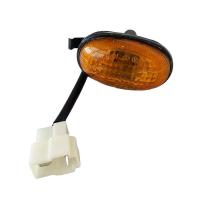 China Jianghuai Light Truck Accessories Weiling Junling Shuai Ling Door Turn Signal for Foton for sale