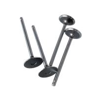 China Foton Alpha Omako O Ling Express ISF 2.8 Engine Intake Valve for Industrial Machinery for sale
