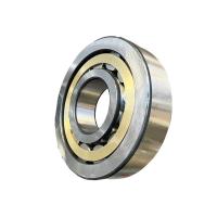 China Alpha NJ421 Cylindrical Roller Bearing for Drive Bearing in Building Material Workshop for sale