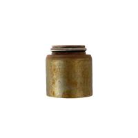 China K5 1003016FA Oil Valve Seal for HFC4DA1 Diesel Engine in Truck Engine Assembly Parts for sale