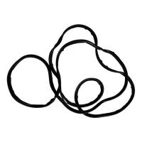 China Competitive Foton Aumark CTX Front Windscreen Glass Seal Assembly L1521020100A0 0.5kg for sale