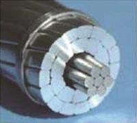 China High Purity Conductive Core Wire Bar Stainless Steel Heating Element for sale