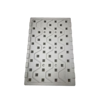 China Customisable Nursery Plant Tray of Lightweight Plastic Blister Agri-Business Mold Fabrication Services for sale