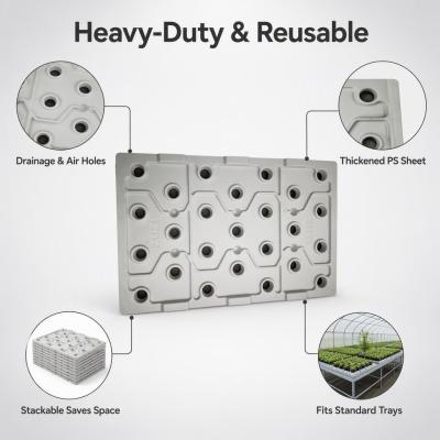 China Custom Vacuum Forming Heavy Duty Hydroponic Fodder Polystyrene Nursery Seeding Flat Trays 1020 Tray Black for sale