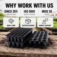 China Custom ABS PS PP Seedling Tray Plug Tray Any Cell Count Shape Drainage Hole Stackable for Greenhouse Nursery OEM ODM for sale