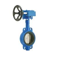 China 100mm Worm Gear Butterfly Valve 4 Inch NBR Soft Seal Cast Iron Bf Valve for sale