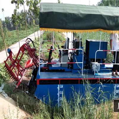 China Amphibious Aquatic Plant Harvester 6000mm Length 39kw Changchai Engine 2200R/min for Wetland for sale