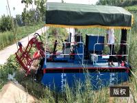 China Amphibious Reed Harvesting Excavator 6000mm 12kw Work Power 39kw Engine for Wetland for sale