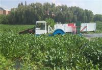 China 12t Load Capacity 75kw Power 3000m2h Aquatic Weed Harvester River Grass Cleaning Barge for sale