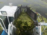 China Compact Diesel Engine Mini Harvester 6m x 3m x 2m for River Cleaning Water Weed Harvester Pond Weed Collector for sale