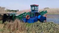 China Mini Aquatic Weed Harvester Machine 30-50HP for Water Hyacinth Collection for sale