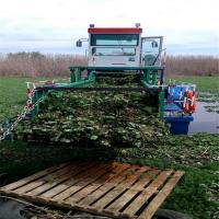 China Diesel Powered Aquatic Weed Harvester with 1.2m Dredging Depth and Customized Dimensions for Efficient Water Grass Collection for sale
