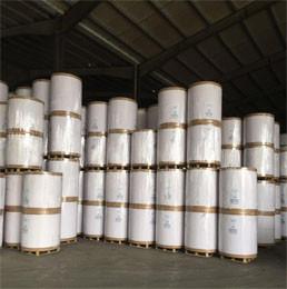 China Wholesale Customized 170G-400Gsm White Fbb Ivory board FBB Sheets for sale