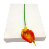 China Side Coated Board 250gsm Price Hi-Bulk Gc1 Fbb Paper White Cardboard Ivory C1s for sale