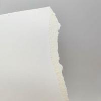 China FBB Ivory Paper Board Grey Back Duplex Paper Board for Craft and Packaging for sale