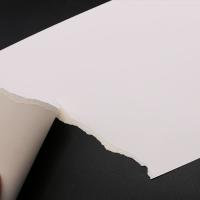 China Duplex Board Ivory White Packaging Paper, GC1 GC2/FBB/C1S, 90-400GSM for sale