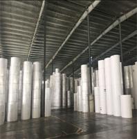 China White Folding Cardboard 300gsm Uncoated Ivory Board for Custom Printing for sale