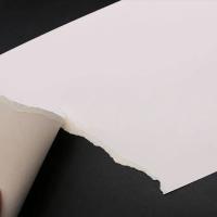 China 90gsm 115gsm 150gsm 170gsm 200gsm C2S Gloss Matt Art Paper/Couche Paper for sale