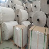 China Environmental White Double Coated Synthetic Stone Paper for sale