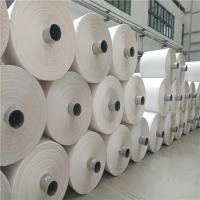 China Environmental White Double Coated Synthetic Stone Paper for sale