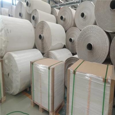 China Environmentally Friendly White Double Side Printable Stone Paper 120gsm Waterproof Tear Resistant Paper for sale