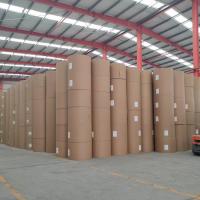 China Smooth Surface Good Quality 70g 80g Offset Reel Paper White Printing Woodfree Paper Offset Printing Paper for sale