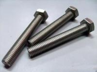 China Multi Specification Hot Dip Galvanized Bolts / Stainless Steel Hex Bolts for sale