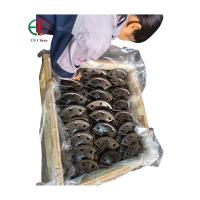 China Heavy Duty Wear Resistant Industrial Ni-Hard 4-600 White Cast Iron Rotary Tiller Curved Blade EB for Complex Farmland for sale