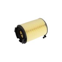 China 1F0129620 Customized Car Air Filter Dry Pattern 136mm Outer Diameter for sale