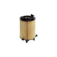 China 1F0129620 Customized Car Air Filter Dry Pattern 136mm Outer Diameter for sale