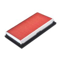 China Easy Installation: 16546-ED000 Car Air Conditioning Filter, Dry Pattern, 232x137x33mm for sale