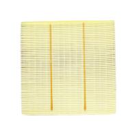China AC System Protection Car Air Filters Length 250mm Width 256mm for sale