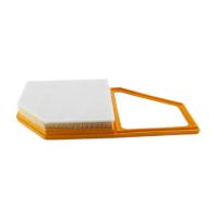 China 24552164 Cabin Air Filter Replacement Automotive AC Filter 376mm for sale