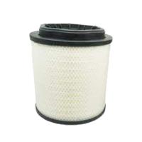 China 304 X 170 X 371mm Truck Air Filter 2414656 2414658 For Engine for sale