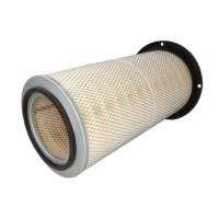China 0.0061m3 Air Filter Engine Truck Filters OEM 1665563 for sale