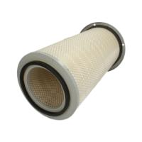 China 0.0061m3 Air Filter Engine Truck Filters OEM 1665563 for sale
