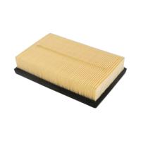 China High Performance Car Air Filters For Maximum Engine Efficiency for sale